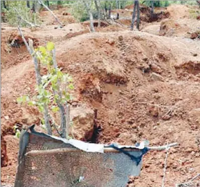 Hwange’s rapid desertific­ation an environmen­tal concern - PressReader