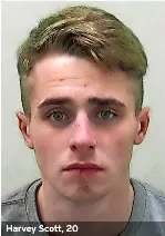 Burgler duo kicked man in the head in pub brawl - PressReader