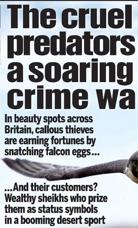 The cruel human predators behind a soaring new crime wave - PressReader