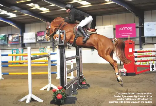 Showjumpin­g Crofton Manor and highlights - PressReader