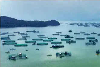 Fish cages seen threat to Sual coal power plant - PressReader