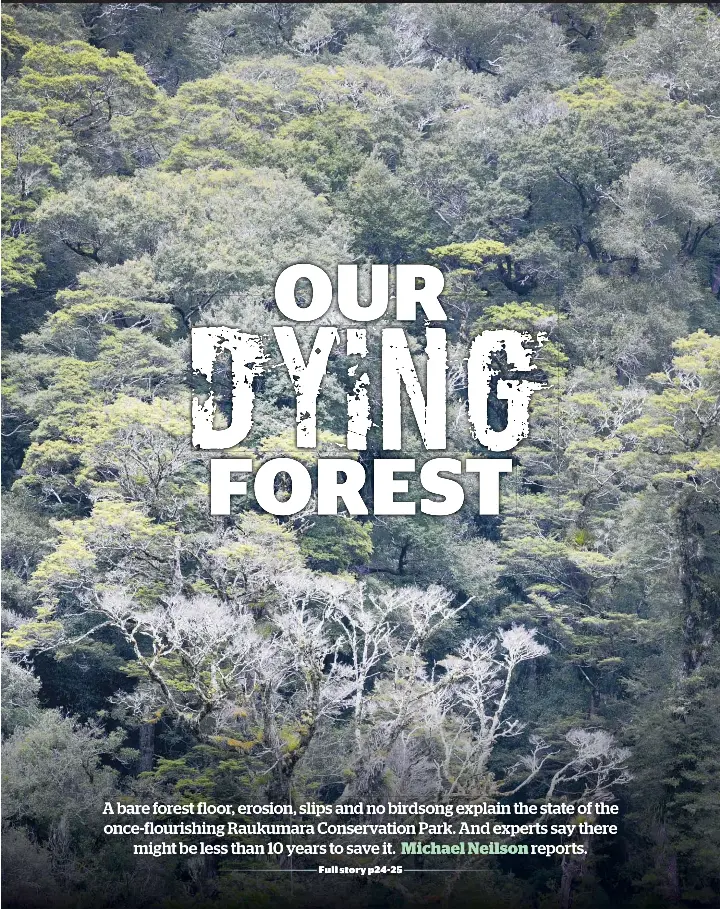 OUR DYING FOREST - PressReader