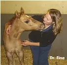 DR. MEGAN FINE - PressReader