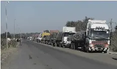 Border impediment­s hamper regional trade - PressReader