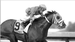 Buccherino comes back for home game in Blitzen - PressReader