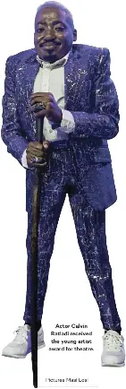 Sparkling night of arty accolades - PressReader