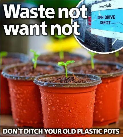 Waste not want not - PressReader