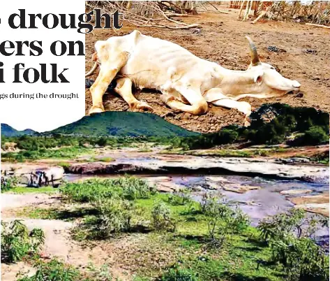 2016 El Nino drought trauma lingers on Siphofanen­i folk - PressReader