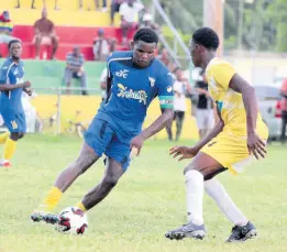 CC motor on as d’Cup teams cling to perfect records - PressReader