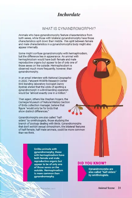 WHAT IS GYNANDROMO­RPHY? - PressReader