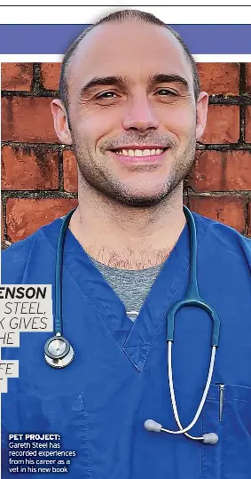 I’ve seen pets so overweight it’s hard not to call it abuse - PressReader