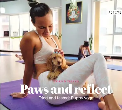 Paws and reflect - PressReader