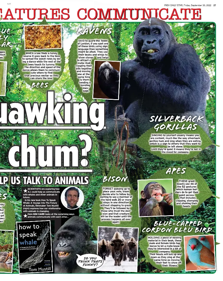 LP US TALK TO ANIMALS - PressReader