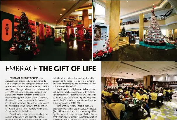 EMBRACE THE GIFT OF LIFE - PressReader