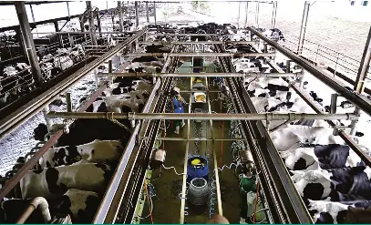 Valor do leite pago ao produtor tem primeira alta - PressReader