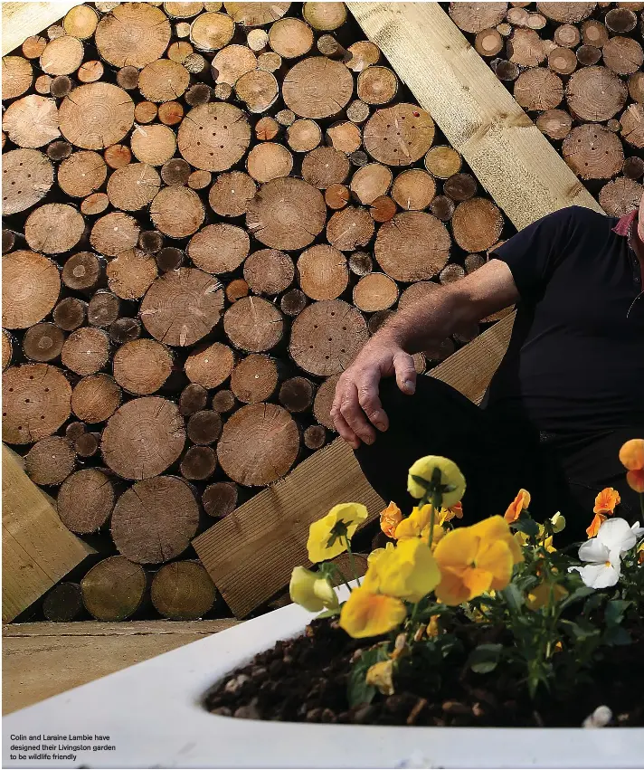 Real gardeners share tips - PressReader