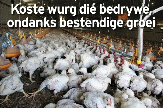 Varke en hoenders: Koste wurg ondanks bestendige groei - PressReader