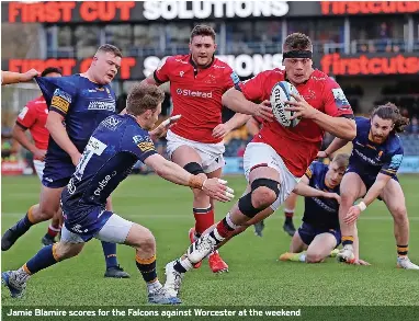 Dean’s delight as Falcons cruise to win - PressReader