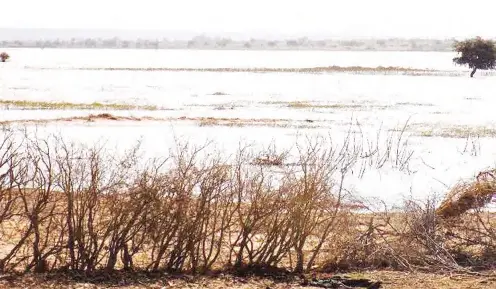 Residents cry rivers over Shagari Dam - PressReader