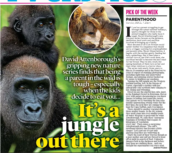It’s a jungle out there - PressReader
