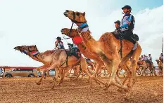 Yemeni woman wins camel race for expats; gets Dh100,000 - PressReader