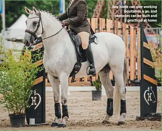 A sport that suits all breeds - PressReader