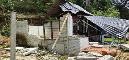 Rumah ranap dihempap pokok durian - PressReader