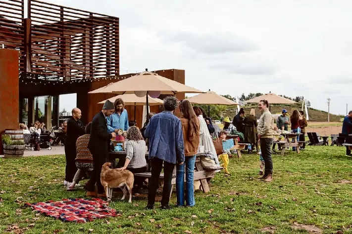 Farms reinvent themselves for a new generation - PressReader