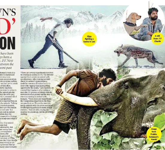 TINSELTOWN’S ‘WILD’ OBSESSION - PressReader