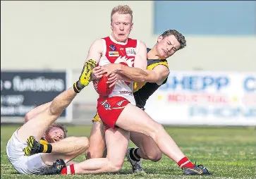 Tigers made to earn stripes - PressReader