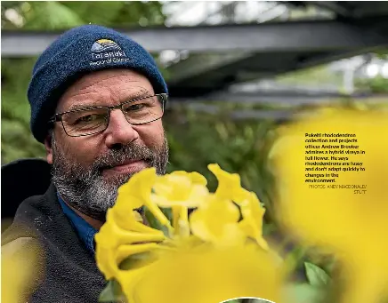 Helping protect the world’s rhodos - PressReader