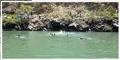Swimmers ignore quarry dam’s dangers - PressReader