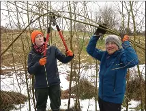 A common ground to celebrate diversity of nature and humanity - PressReader