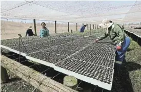 Imvaba Co-operative Fund continues to help businesses grow - PressReader