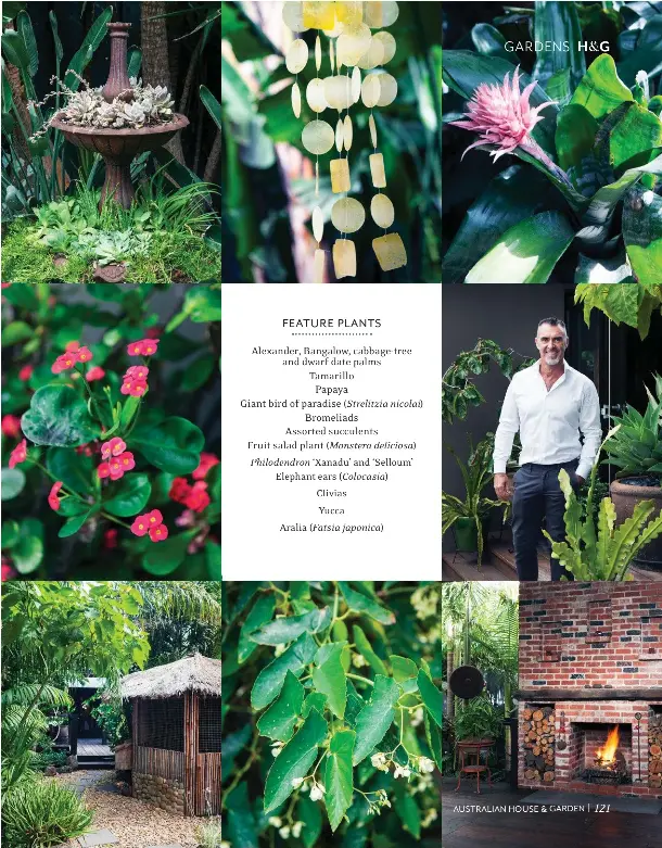 FEATURE PLANTS - PressReader