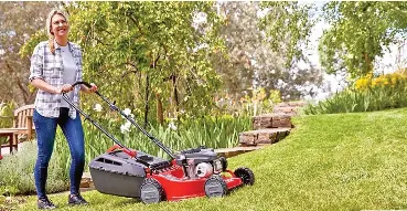 Safe, easy starting rover for every family - PressReader