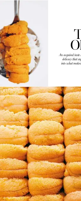 TREASURE OF THE SEA - PressReader