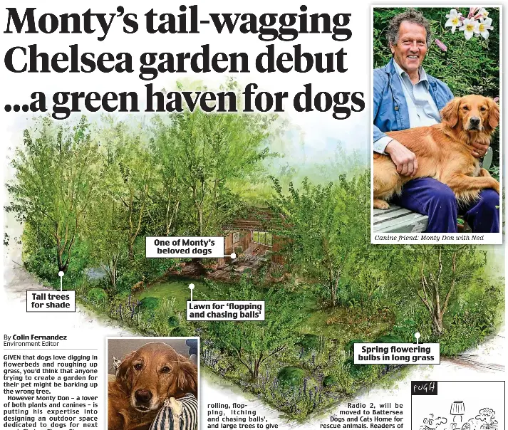 Monty’s tail-wagging Chelsea garden debut …a green haven for dogs ...