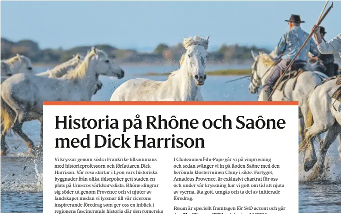 Historia på Rhône och Saône med Dick Harrison - PressReader