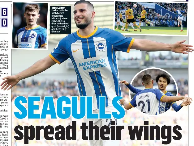 SEAGULLS spread their wings - PressReader