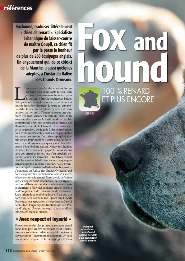 Fox and hound - PressReader