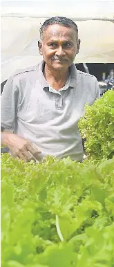 Passion and perseveran­ce - PressReader