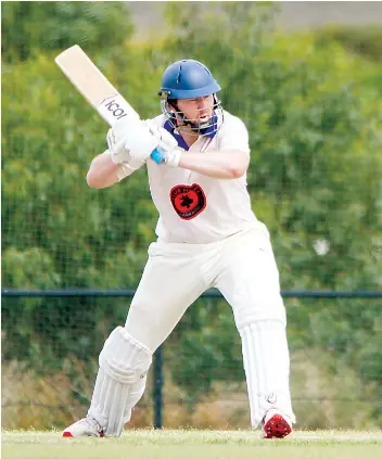 Cats go back-to-back - PressReader