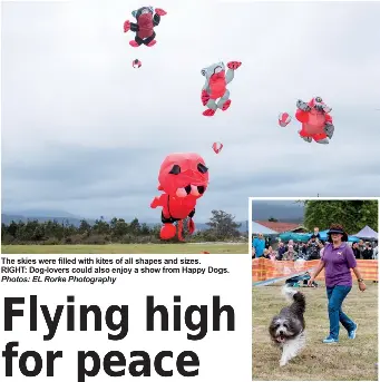 Flying high for peace - PressReader