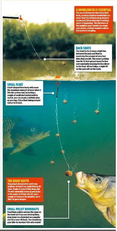 SHALLOW SLAPPING RIG FOR CARP AND F1s - PressReader