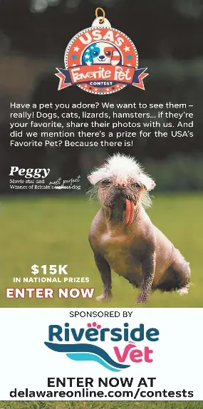 Space race - PressReader