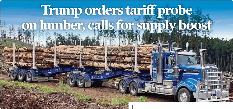 Trump orders tariff probe on lumber, calls for supply boost - PressReader