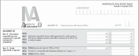 IVA: MODELLO BASE 2025 Istruzioni per la compilazio­ne - PressReader
