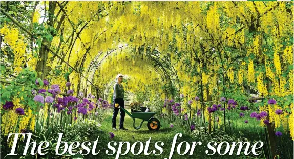 The best spots for some SPRING ZING - PressReader