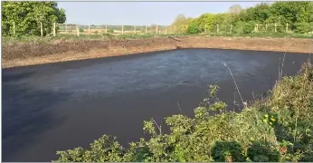 Slurry storage solutions pros and cons - PressReader